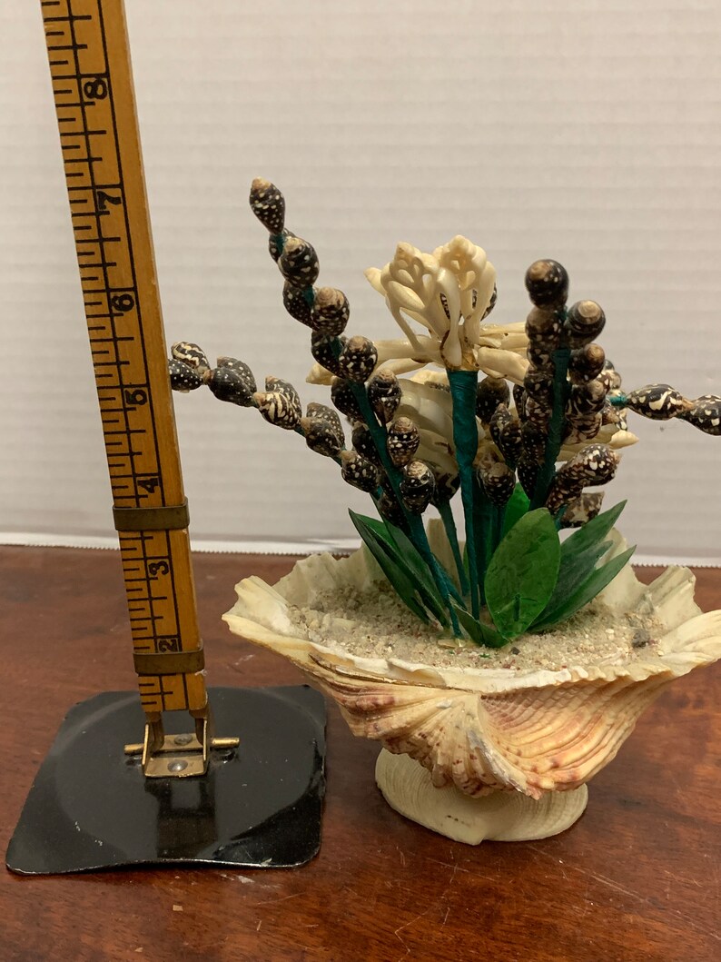Vintage Seashell Sculpture - Etsy