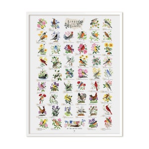 State Bird and Flower Poster | Watercolor US Botanical Art Print - Etsy