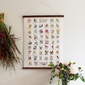 State Bird and Flower Poster | Modern State Bird and Flower Illustrated ...