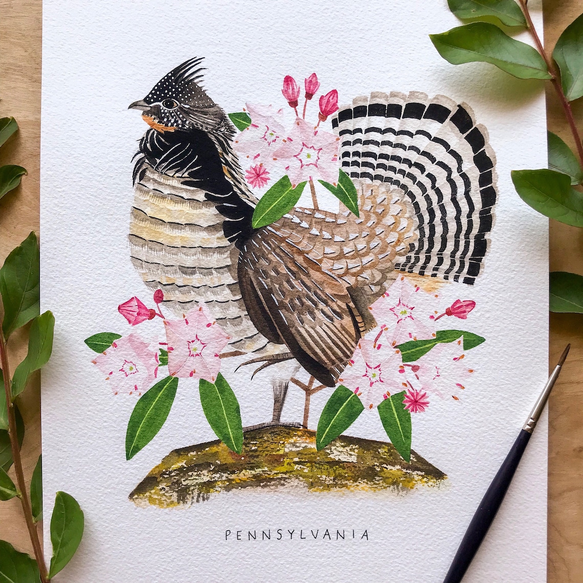 Pennsylvania State Bird Art Print PA Ruffed Grouse and - Etsy