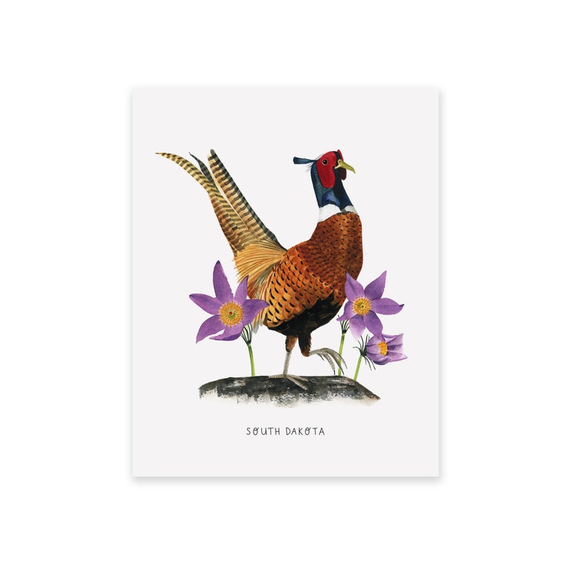 South Dakota State Bird Art Print South Dakota Ring-necked | Etsy