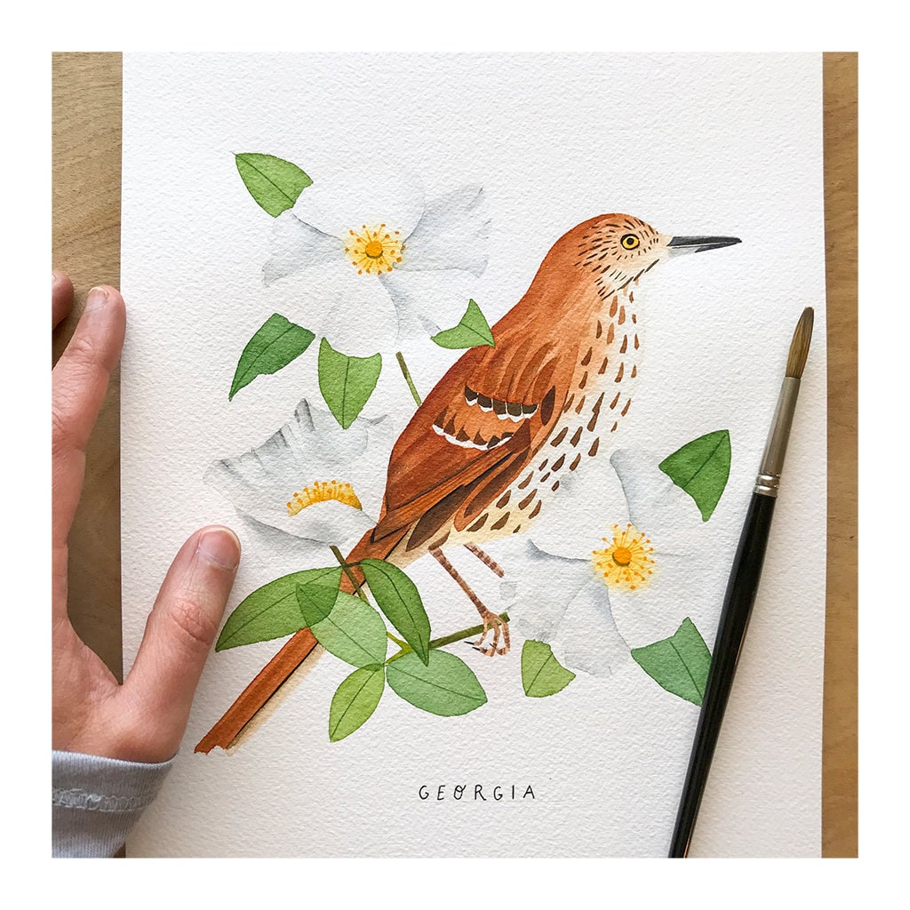 Georgia State Bird Art Print | Brown Thrasher & Cherokee Rose ...