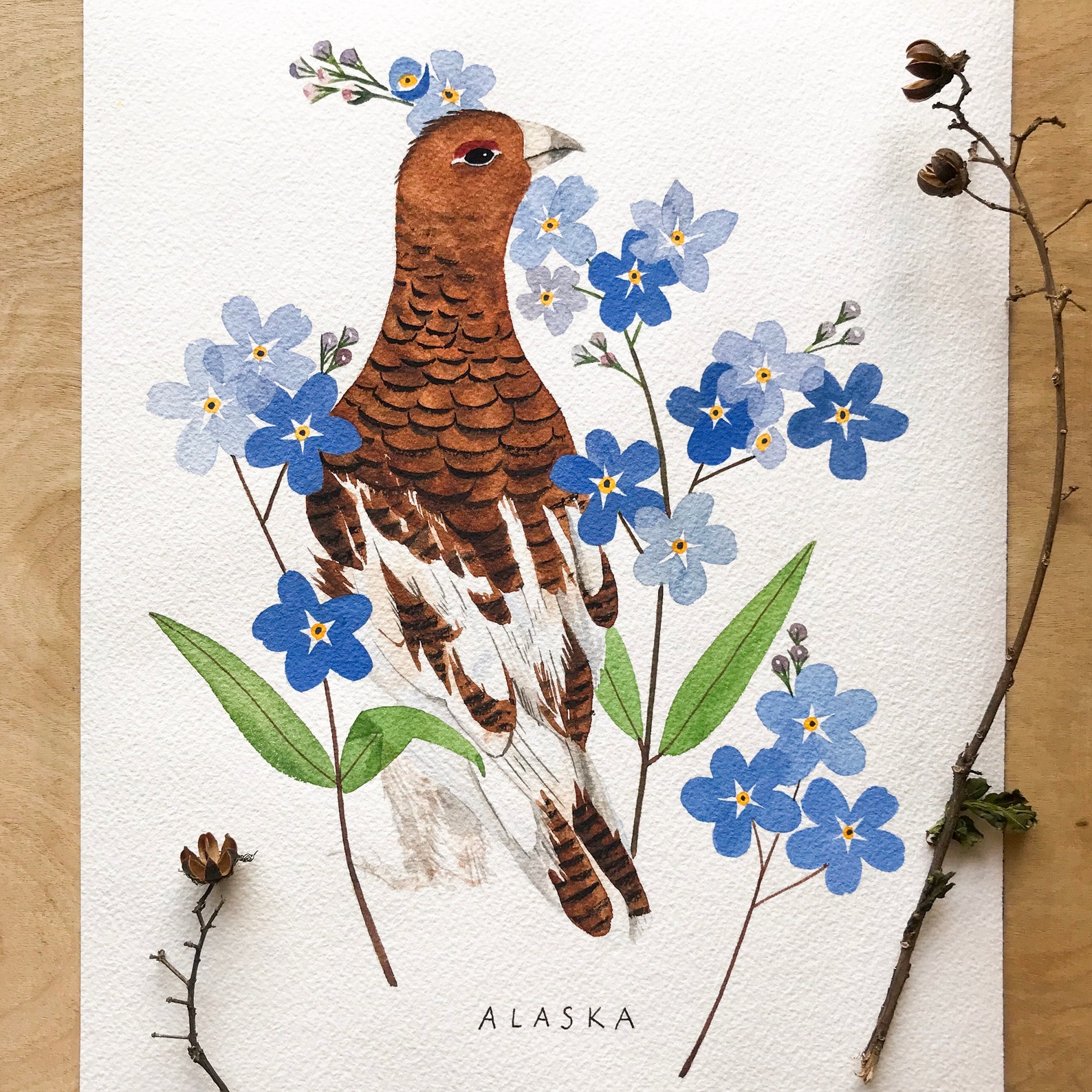 Alaska State Bird Art Print Alaska Willow Ptarmigan and - Etsy