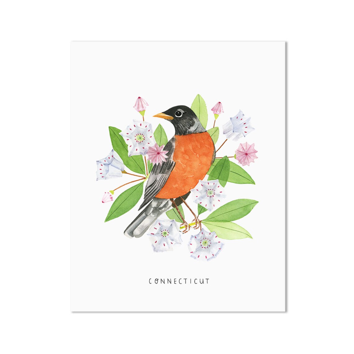 Connecticut State Bird Art Print American Robin and Mountain | Etsy
