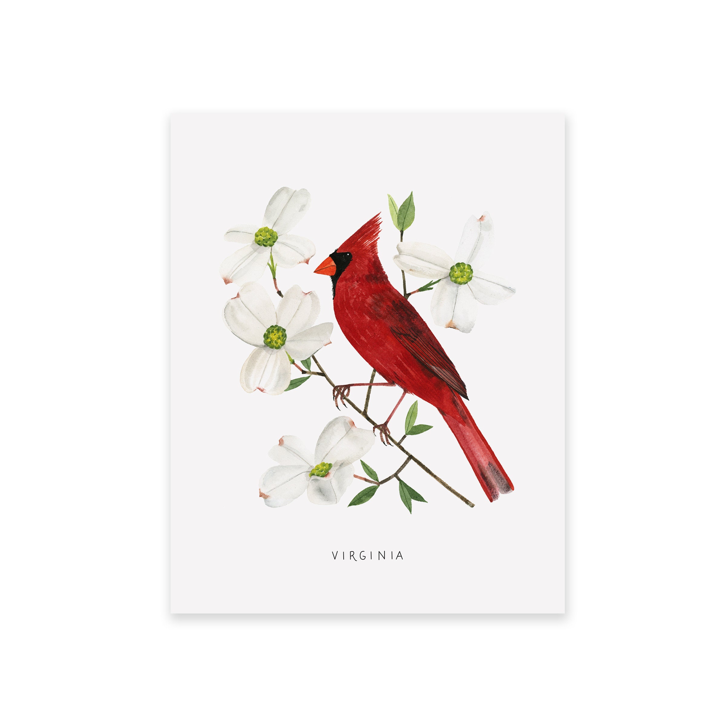 Virginia State Bird Art Print Virginia Cardinal and Dogwood | Etsy