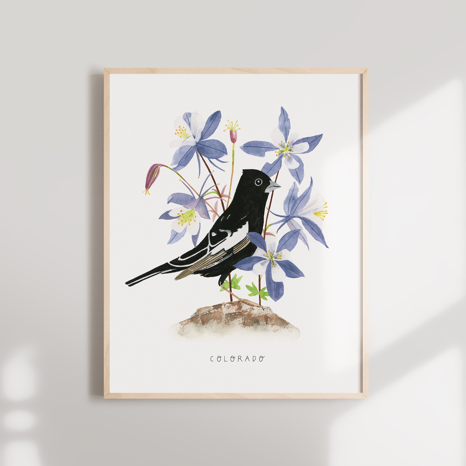 Colorado State Bird Art Print Colorado Lark Bunting and - Etsy