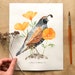 California State Bird Art Print | Cal Valley Quail and California ...