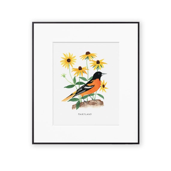 Black Eyed Susan Bird