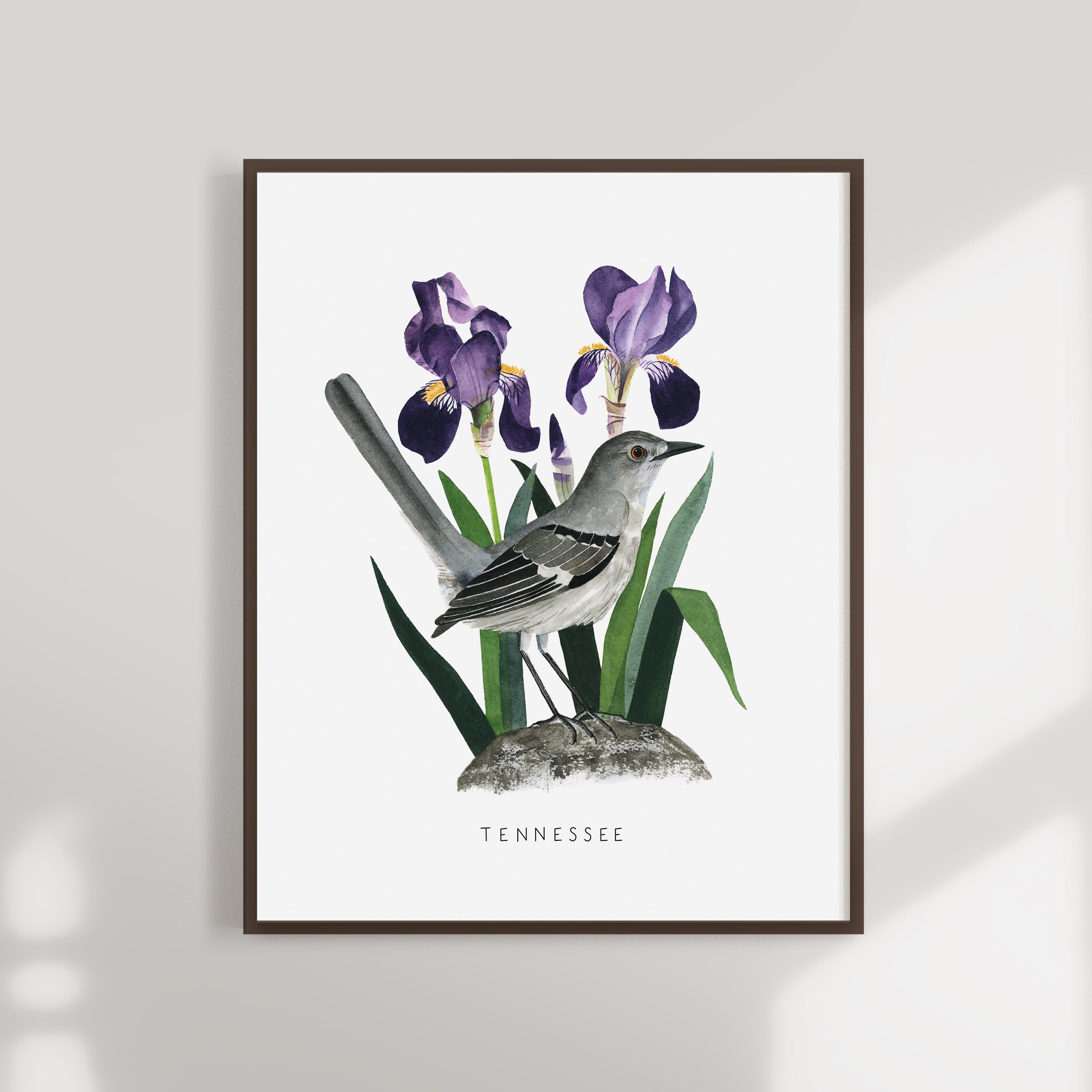 Tennessee State Bird Art Print Tennessee Mockingbird and - Etsy
