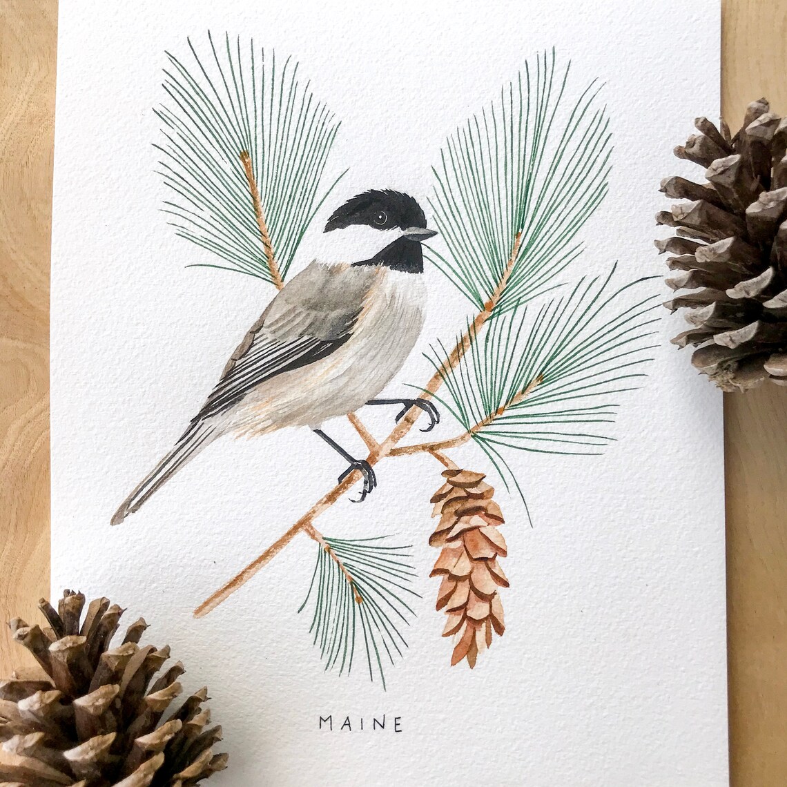 Maine State Bird Art Print Maine Chickadee and Pinecone - Etsy