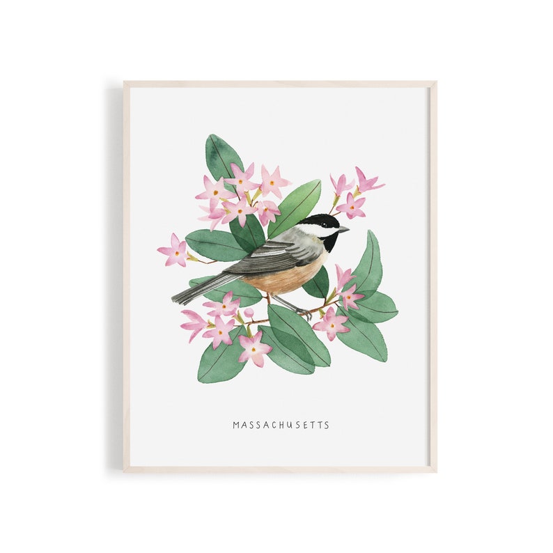 Massachusetts State Bird Art Print | Massachusetts Chickadee and ...