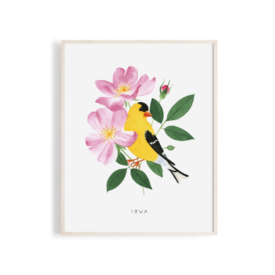 Iowa State Bird Art Print | Iowa Goldfinch and Prairie Rose - State ...