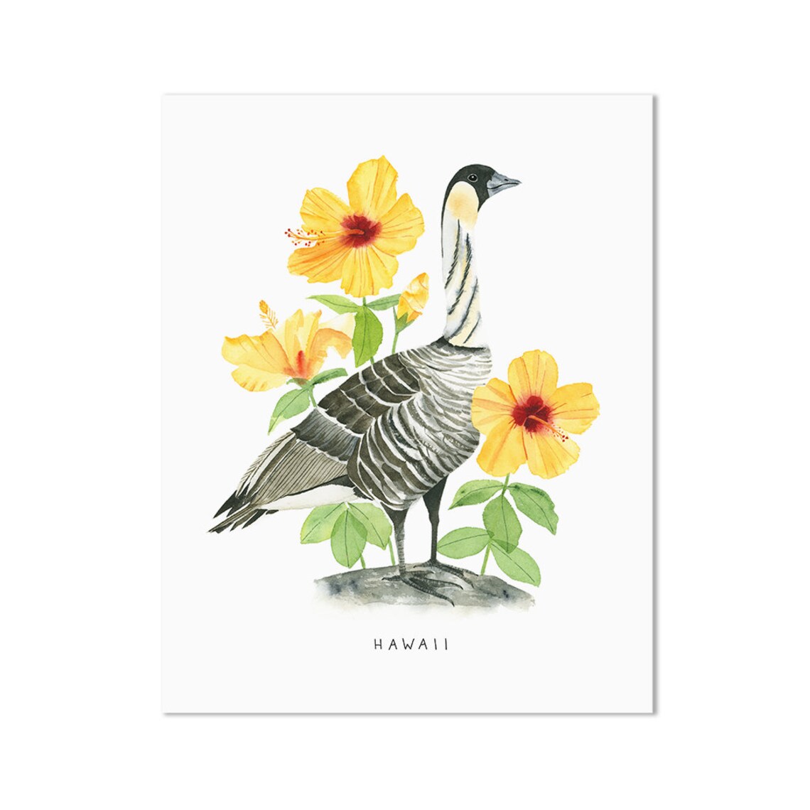 Hawaii State Bird Art Print Hawaiian Goose nene and | Etsy