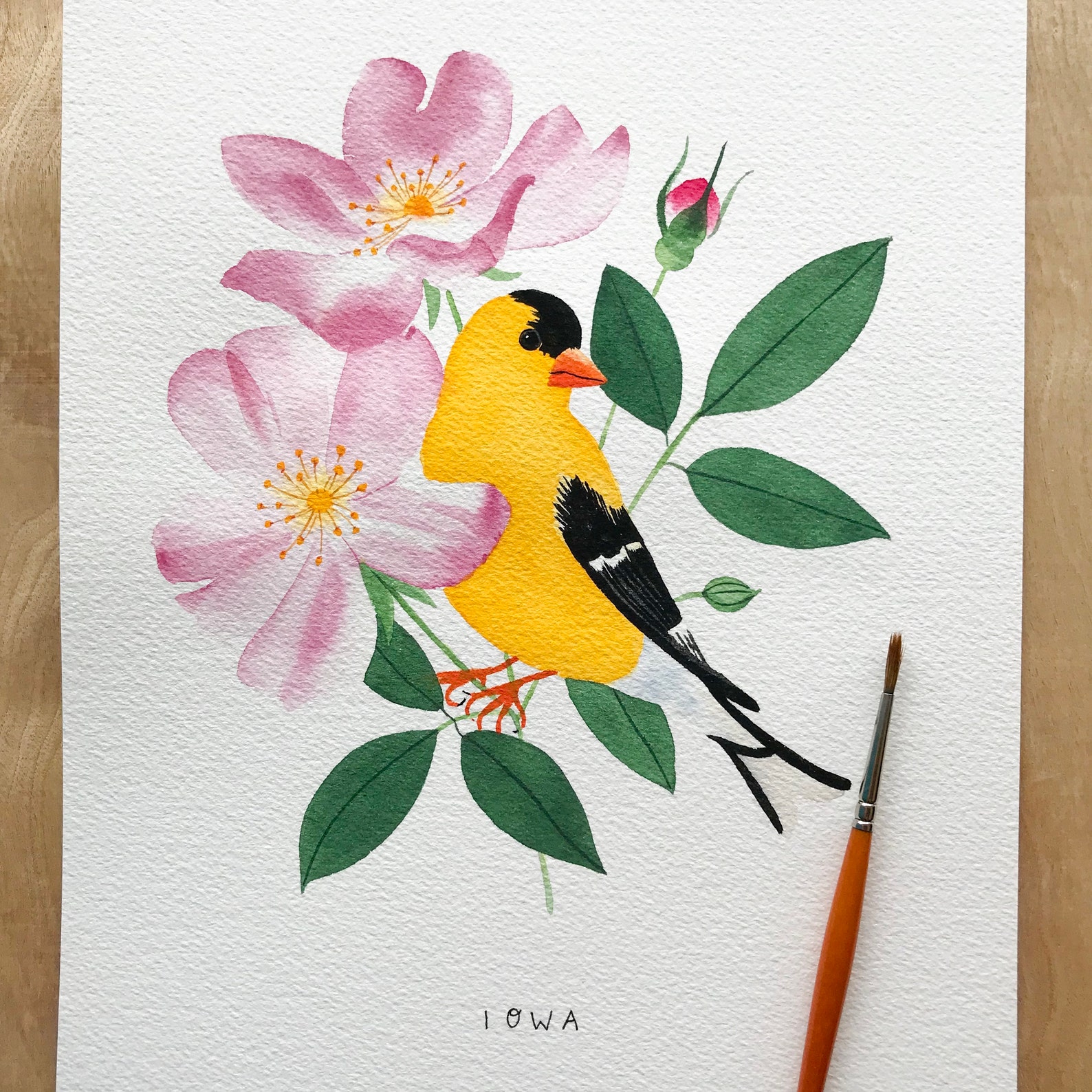 Iowa State Bird Art Print Iowa Goldfinch and Prairie Rose | Etsy