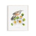 Arizona State Bird Watercolor Art Print | Cactus Wren & Saguaro Blossom ...