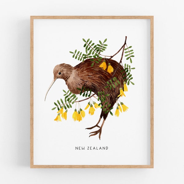 Kiwi Bird Art Print - Etsy