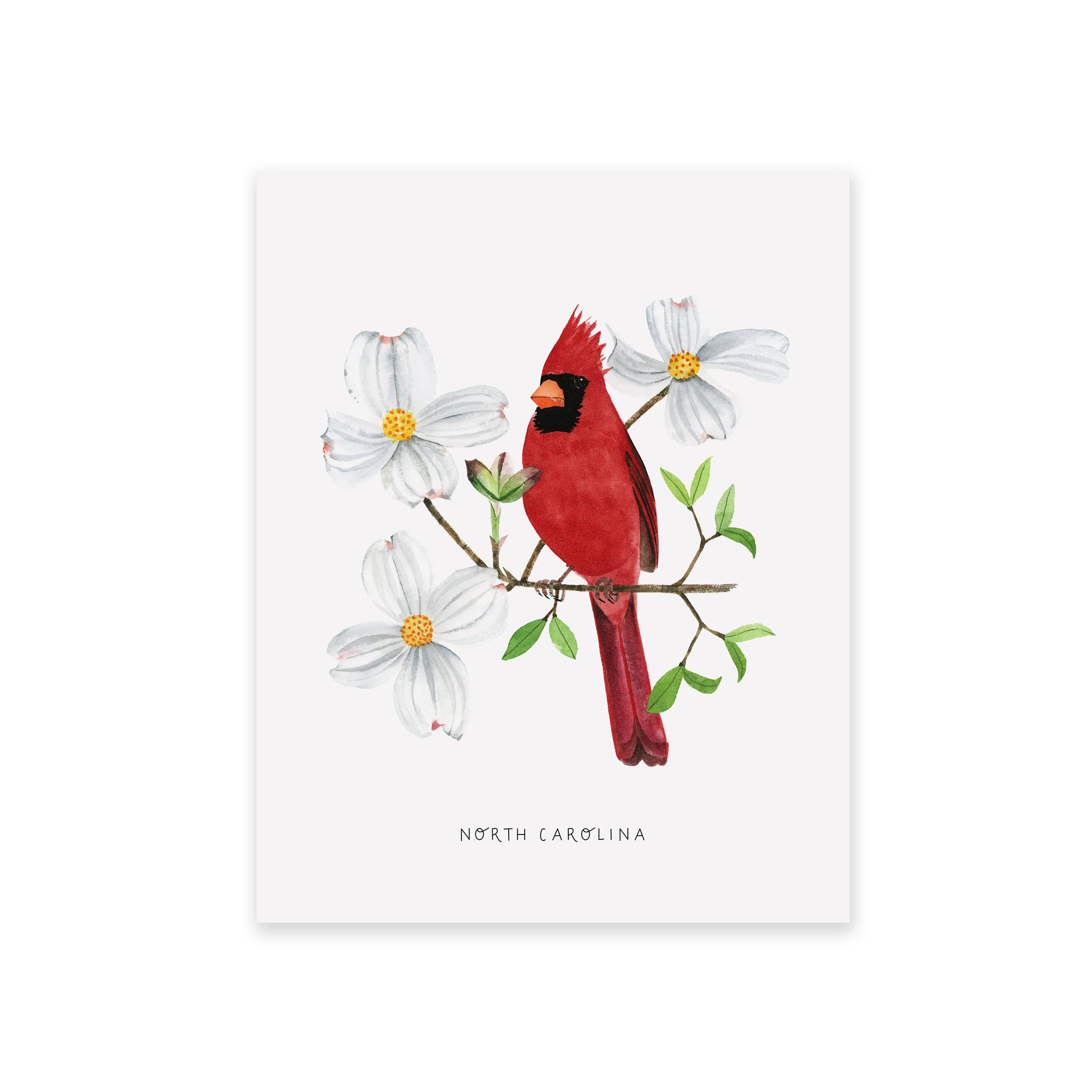 North Carolina State Bird Art Print North Carolina Cardinal | Etsy