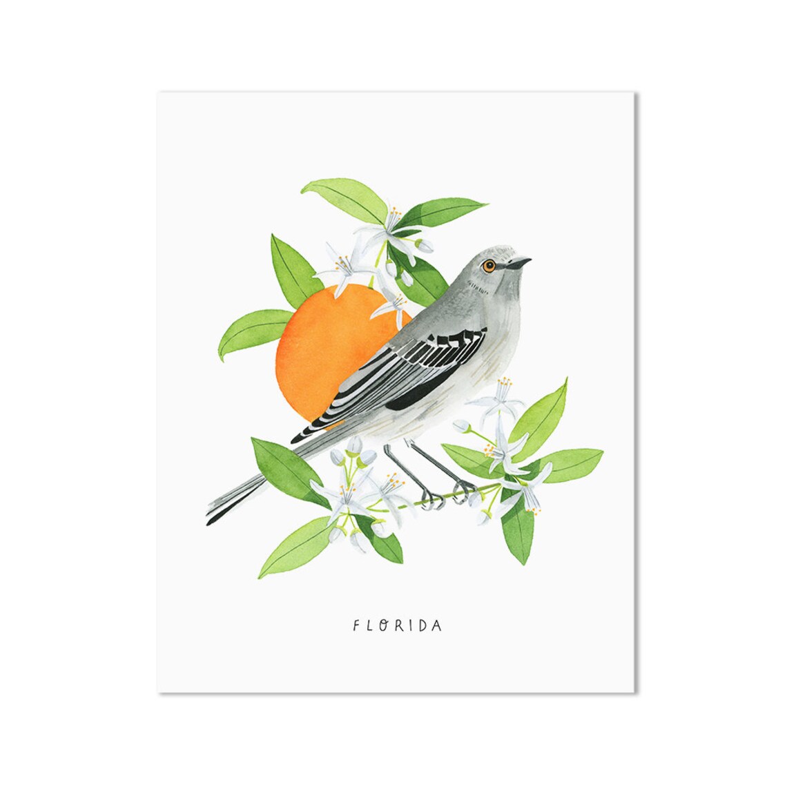 Florida State Bird Art Print Florida Mockingbird and Orange - Etsy
