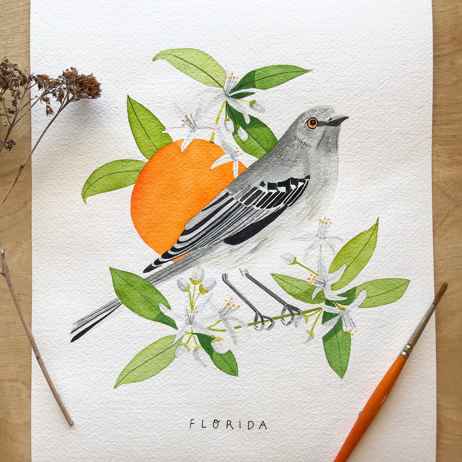 Florida State Bird Art Print Florida Mockingbird and Orange - Etsy