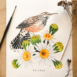 Arizona State Bird Watercolor Art Print | Cactus Wren & Saguaro Blossom ...