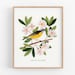 California State Bird Art Print Cal Valley Quail and California Poppies ...