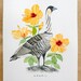 Hawaii State Bird Nene Goose Art Print | Hibiscus Flower Wall Art - Etsy