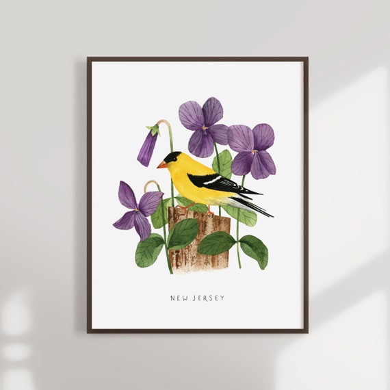 New Jersey State Bird Art Print New Jersey Goldfinch and - Etsy