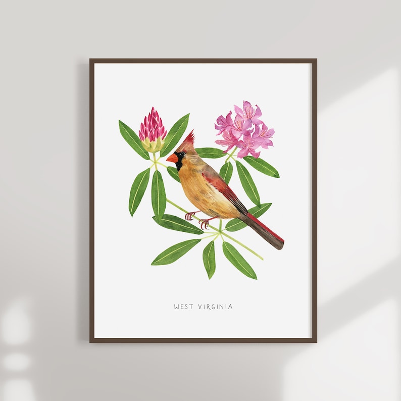 West Virginia State Bird Art Print West Virginia Cardinal - Etsy