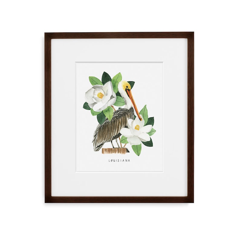 Louisiana State Bird Art Print | Louisiana Brown Pelican and Magnolia ...