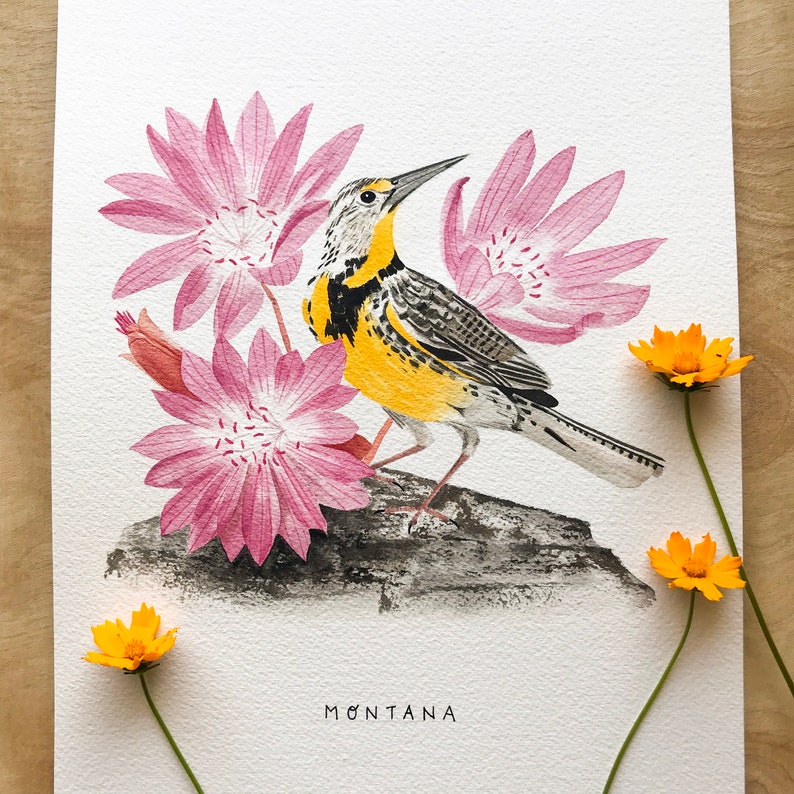 Montana Meadowlark & Bitterroot Watercolor Art Print - Etsy