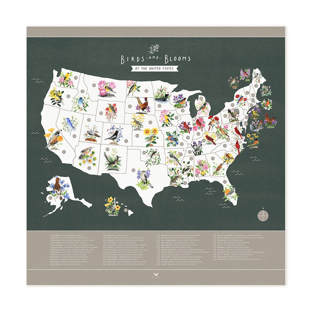State Bird and Flower Map Poster | Modern State Bird and Flower ...