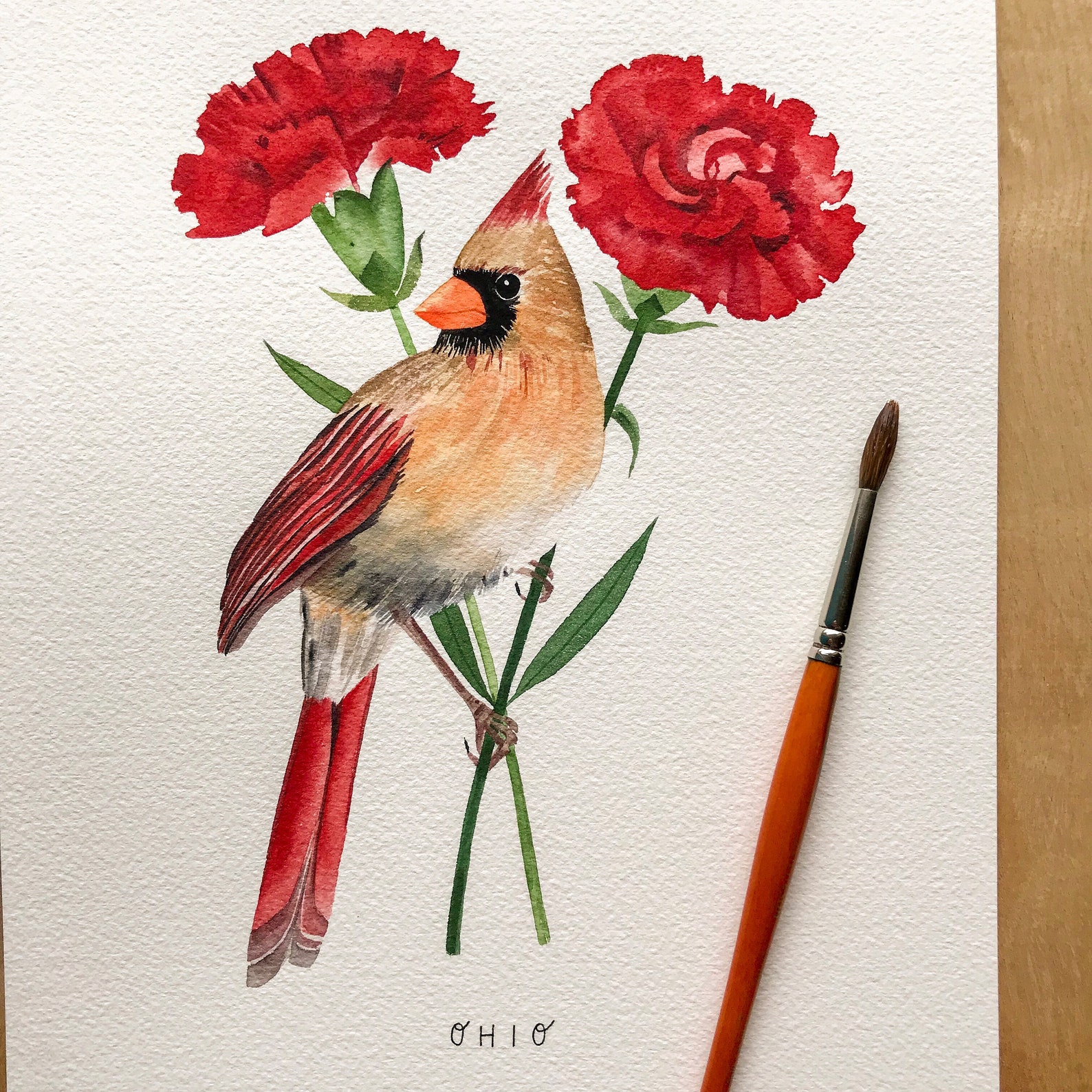 Ohio State Bird Art Print | Ohio Cardinal and Carnation - State Flower ...