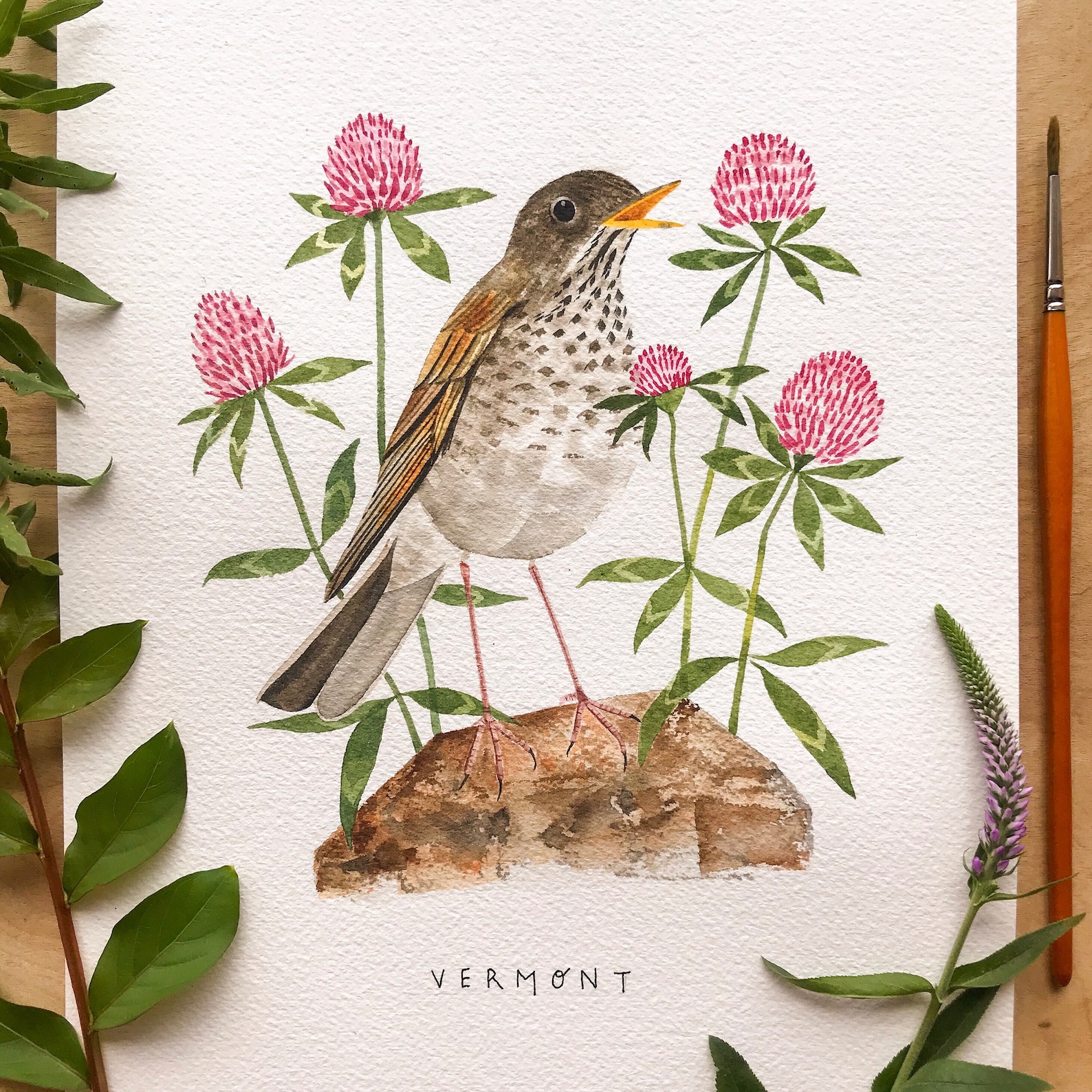 Vermont State Bird Art Print Vermont Hermit Thrush and Red | Etsy