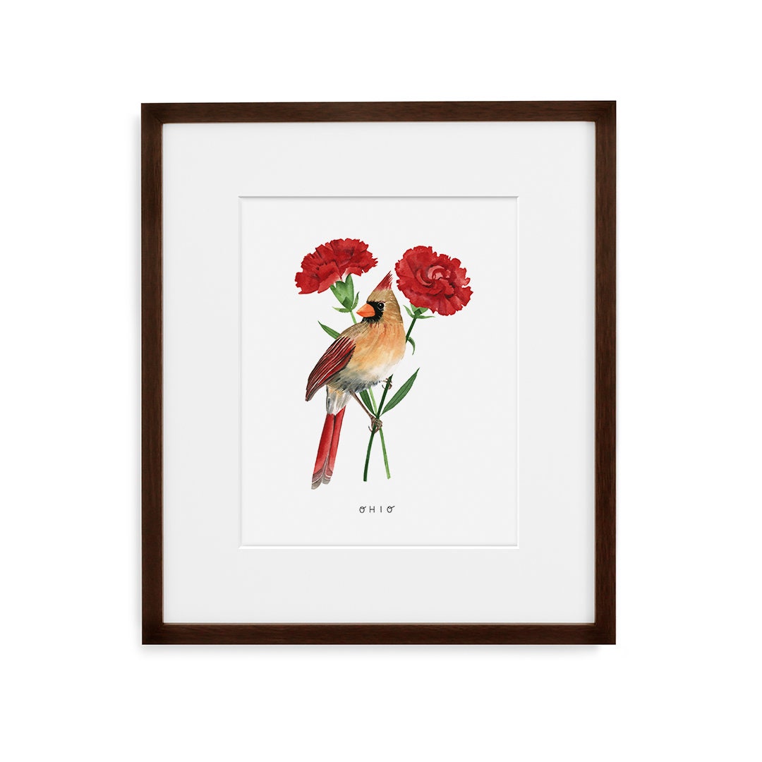 Ohio State Bird Art Print | Ohio Cardinal and Carnation - State Flower ...