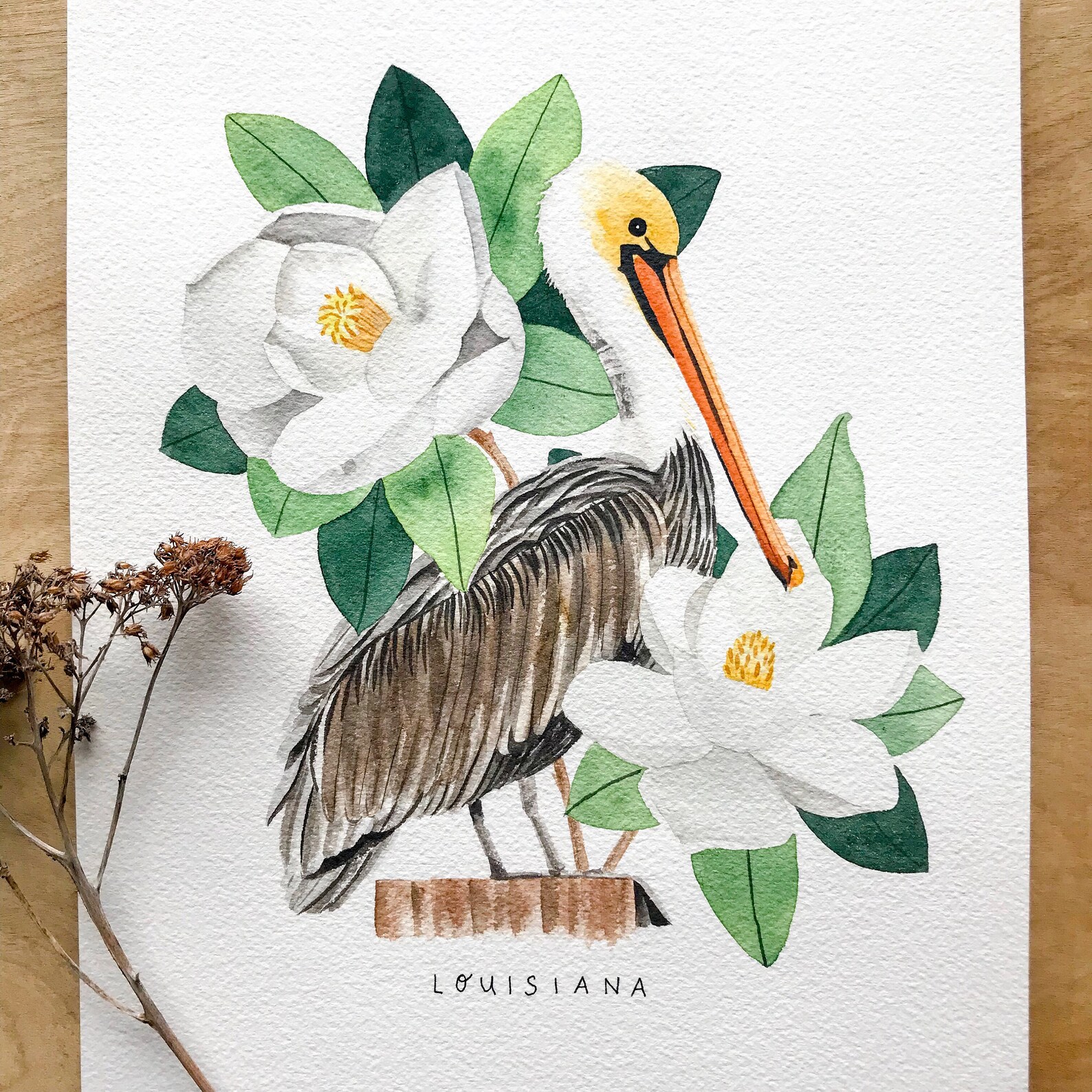 Louisiana State Bird Art Print | Louisiana Brown Pelican and Magnolia ...