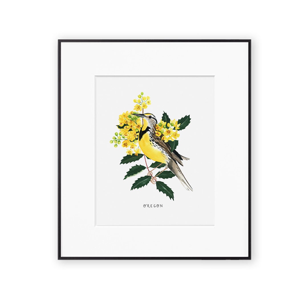 Oregon State Bird Art Print | Oregon Meadowlark and Grape - State ...