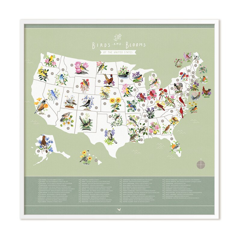State Bird and Flower Map Poster Modern State Bird and | Etsy