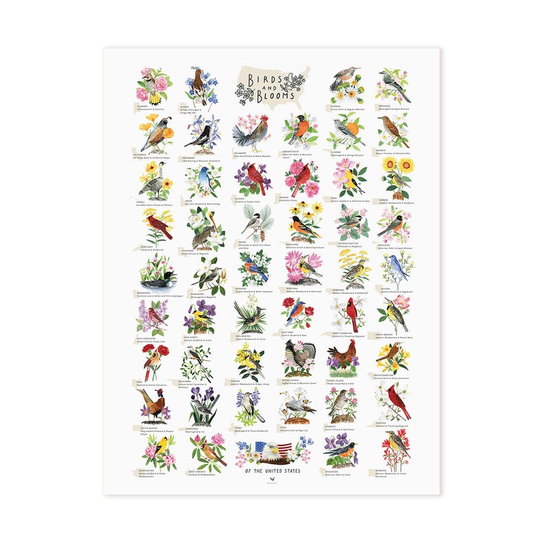 State Bird and Flower Poster Modern State Bird and Flower | Etsy