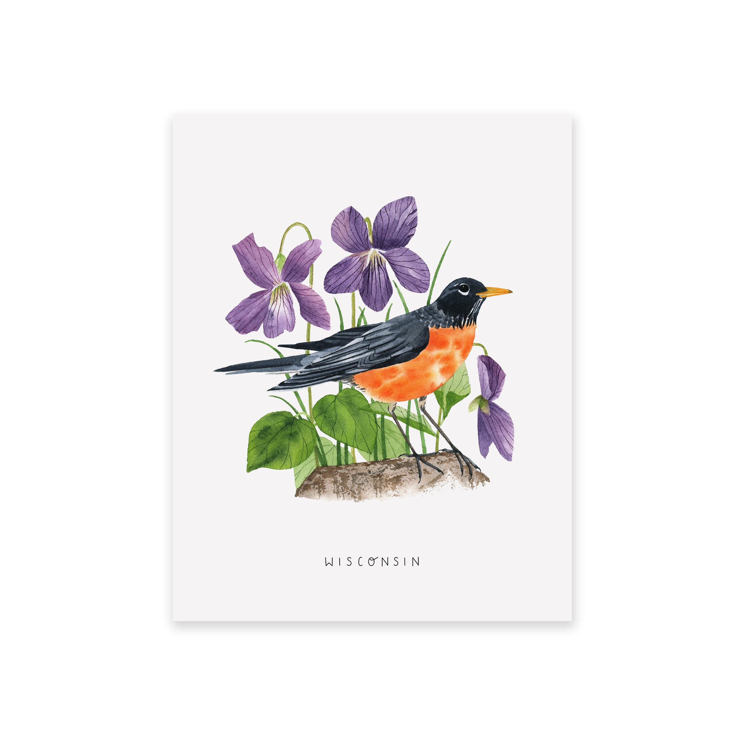 Wisconsin State Bird Art Print | Wisconsin Robin and Voilets - State ...