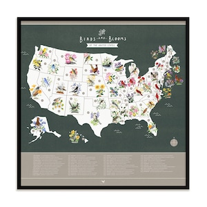 State Bird and Flower Map Poster | Modern State Bird and Flower ...