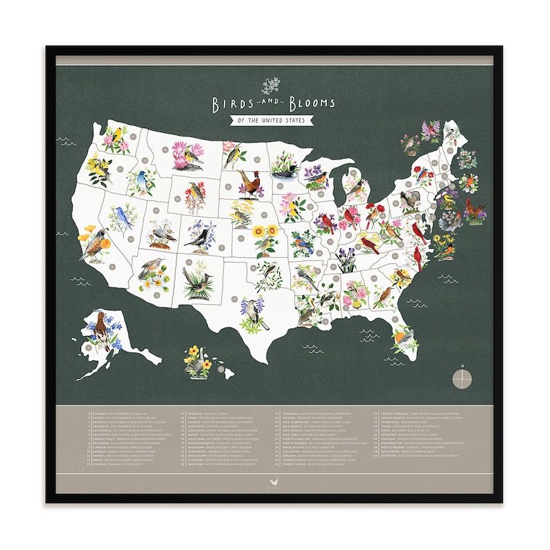 State Bird and Flower Map Poster Modern State Bird and | Etsy