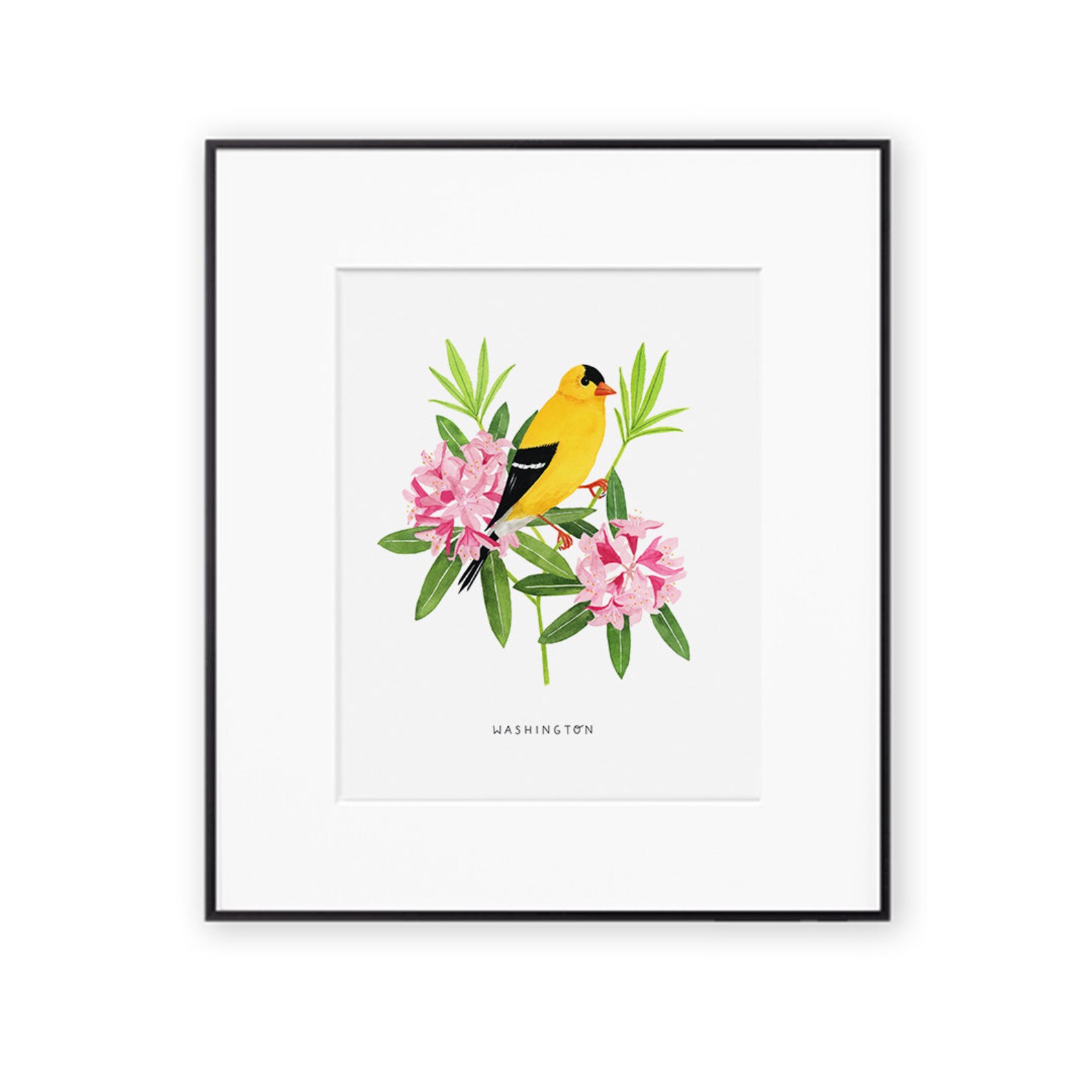 Washington State Bird Art Print Washington Goldfinch and - Etsy