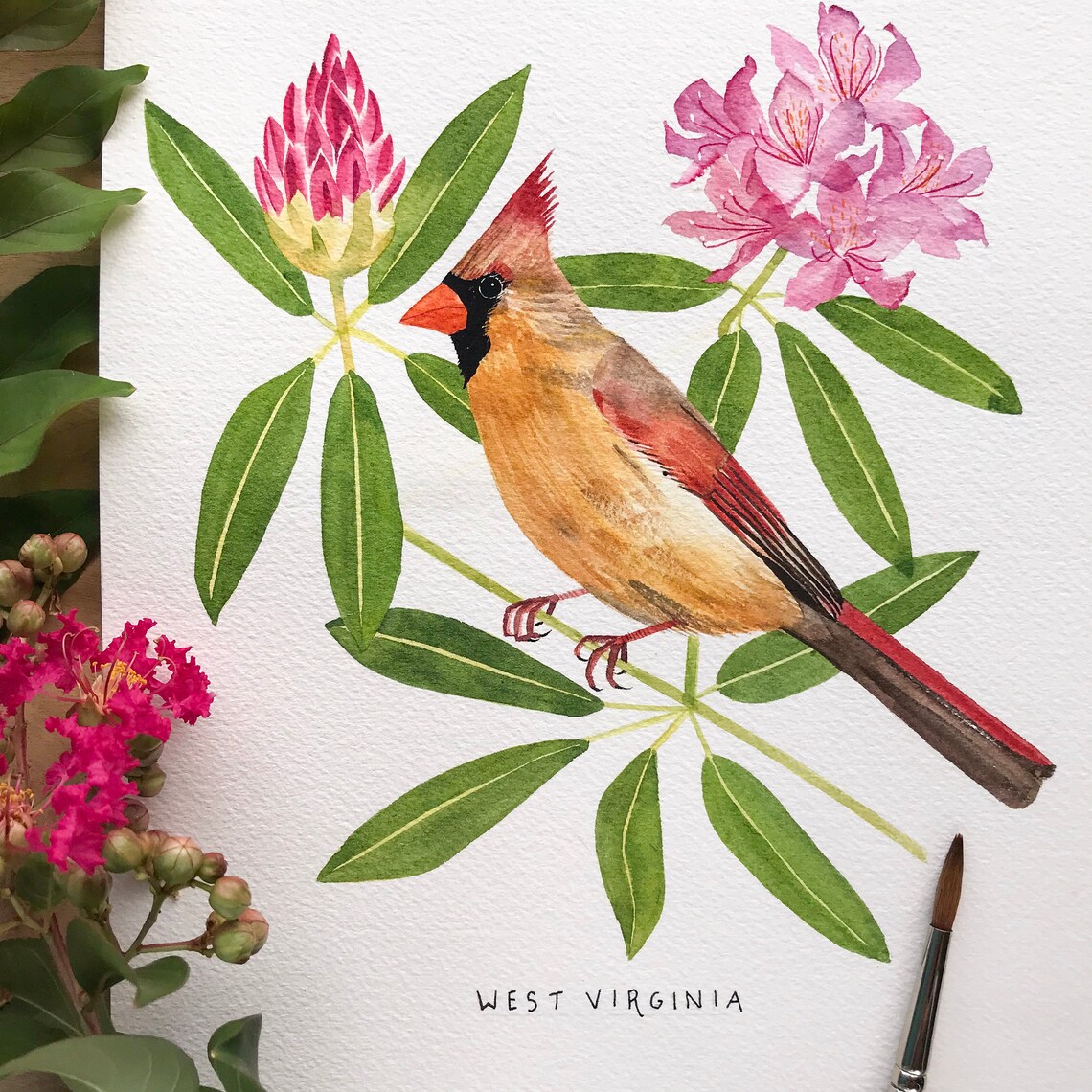 West Virginia State Bird Art Print West Virginia Cardinal - Etsy