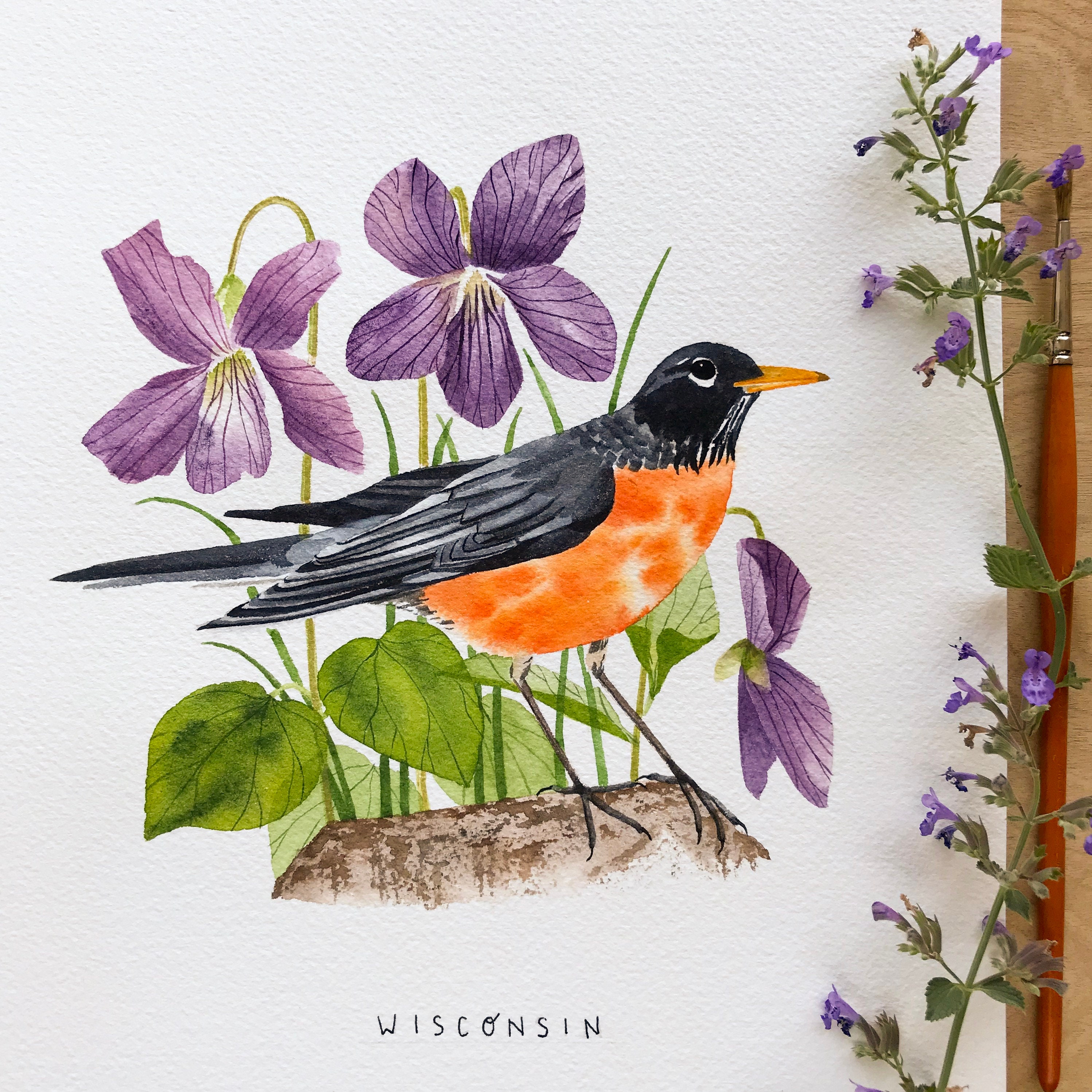 Wisconsin State Bird Art Print | Wisconsin Robin and Voilets - State ...