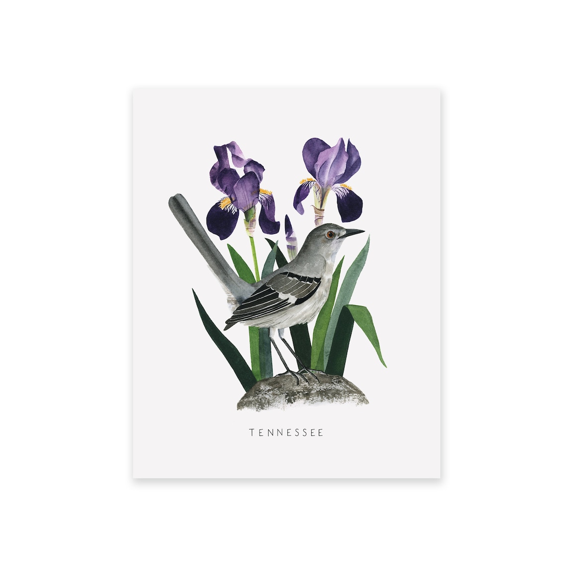 Tennessee State Bird Art Print Tennessee Mockingbird and | Etsy