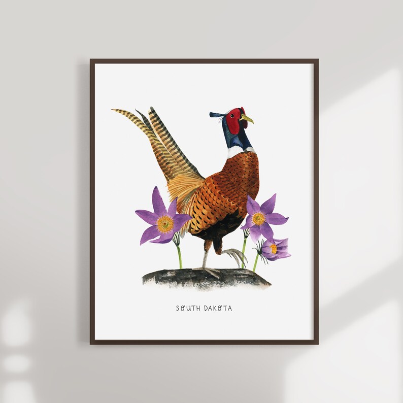 South Dakota State Bird Art Print South Dakota Ring-necked - Etsy