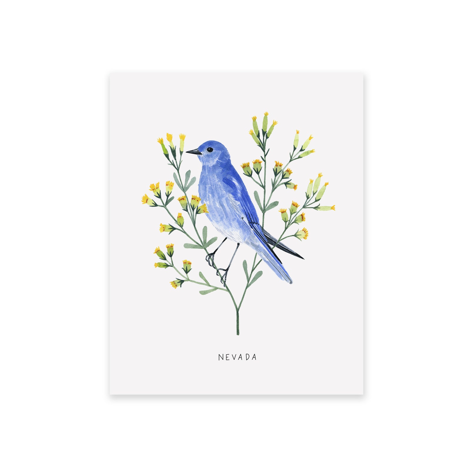 Nevada State Bird Art Print Nevada Mountain Bluebird and - Etsy