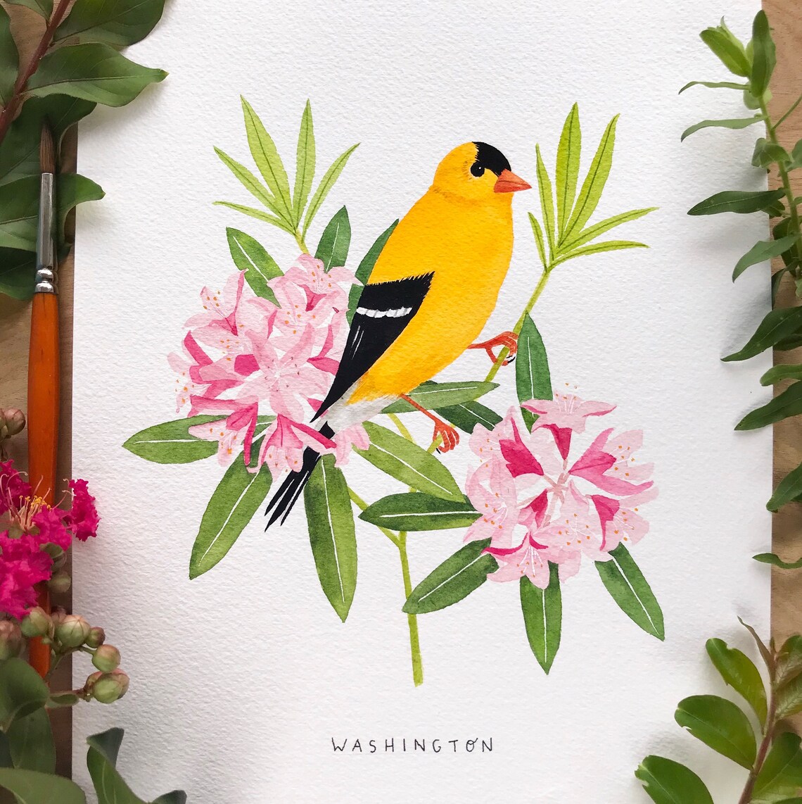 Washington State Bird Art Print Washington Goldfinch and - Etsy