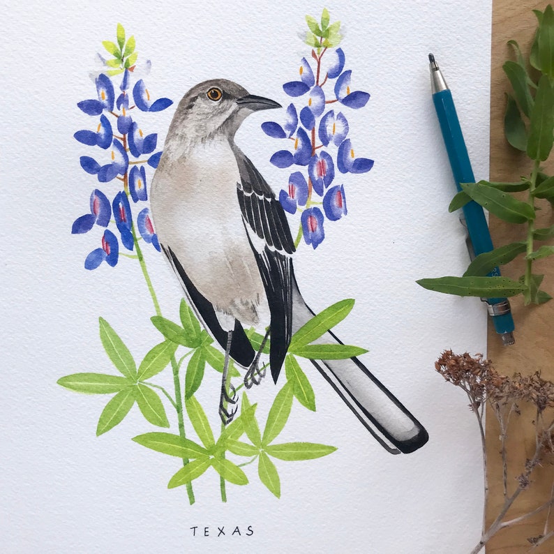 Texas State Bird Art Print Texas Mockingbird and Bluebonnets | Etsy
