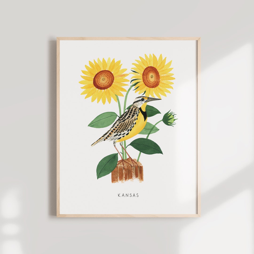 Kansas State Bird Art Print | Kansas Meadowlark and Sunflower - State ...